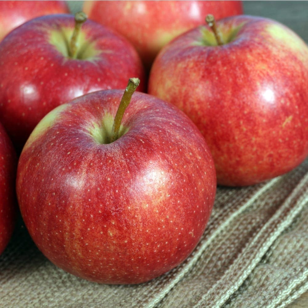 Royal Gala Apples | Zonefresh Gourmet Market