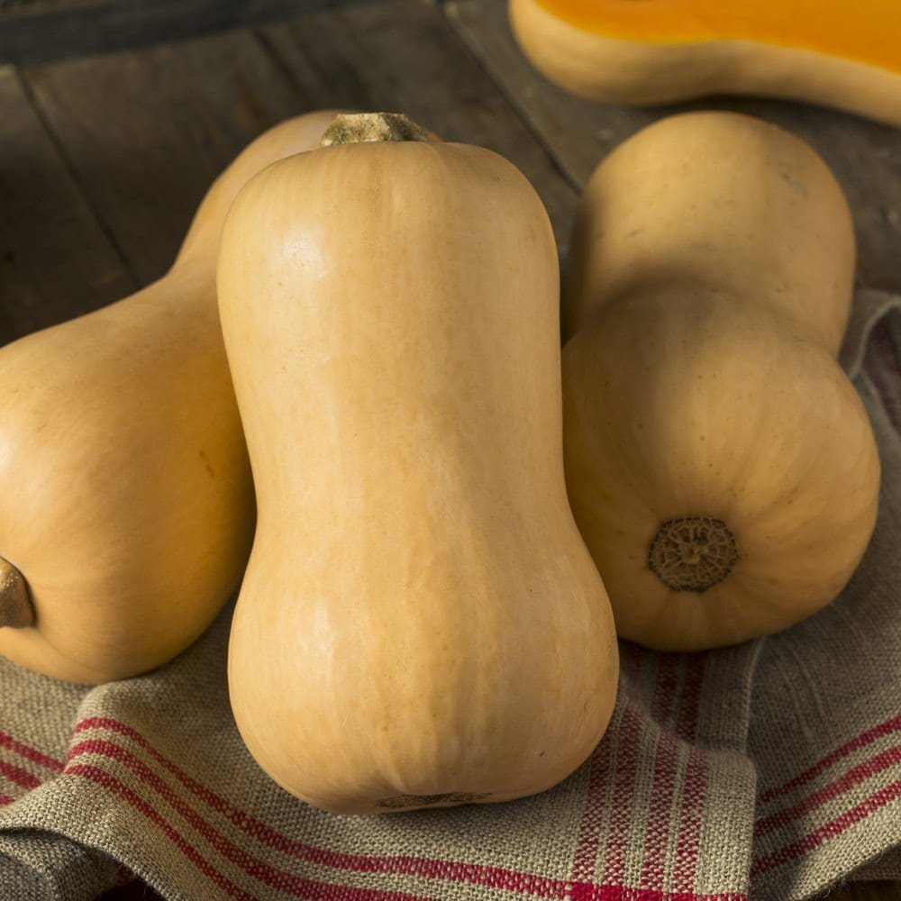 PUMPKIN BUTTERNUT - Zone Fresh