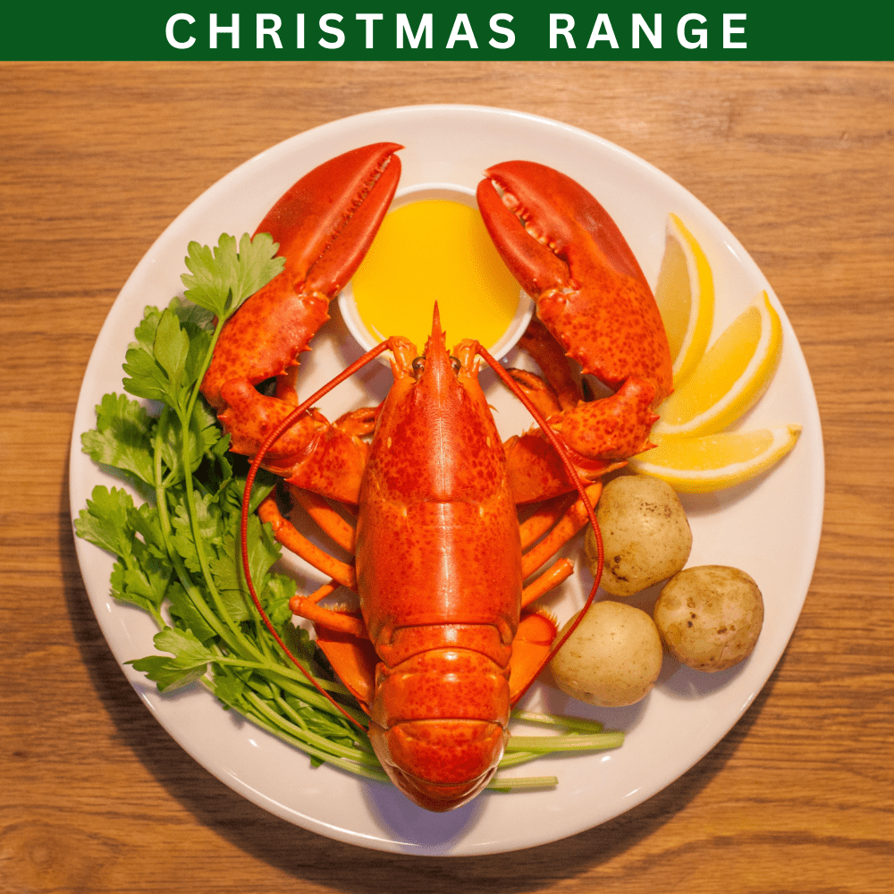 WESTERN AUSTRALIAN LOBSTER COOKED - Zone Fresh