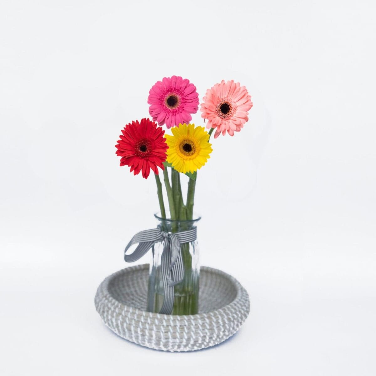 FLOWERS MINI GERBERA - Zone Fresh